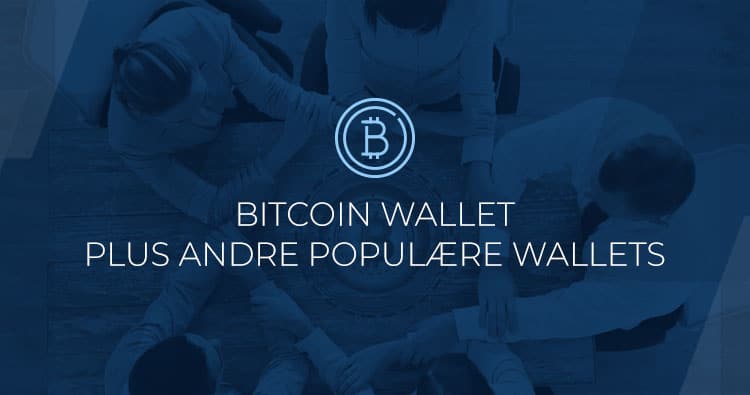 Bitcoin Wallet Guide For 2024 - Lær Alt Om At Få En Kryptovaluta Wallet